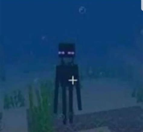 Wither X Skeleton In 2025 Minecraft Skeleton Monster School
