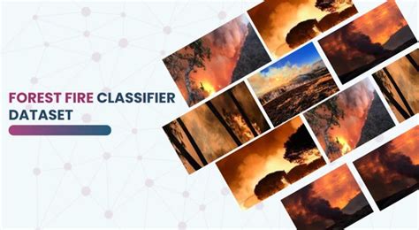 Forest Fire Classifier Dataset Aerial And Terrestrial Images Forest Fire Classifier Dataset Aerial And Terrestrial Images