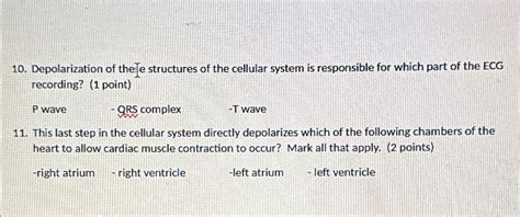 Solved Depolarization Of The E Structures Of The Cellular