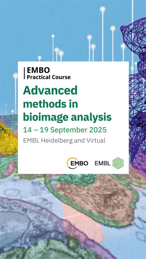 Work On Your Own Data With Software Representatives