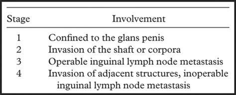 Imaging Of Penile Neoplasms Radiographics