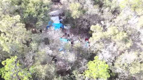 Thea Liddle Skeletal Remains Found In Byron Bay Search For Missing Woman Au