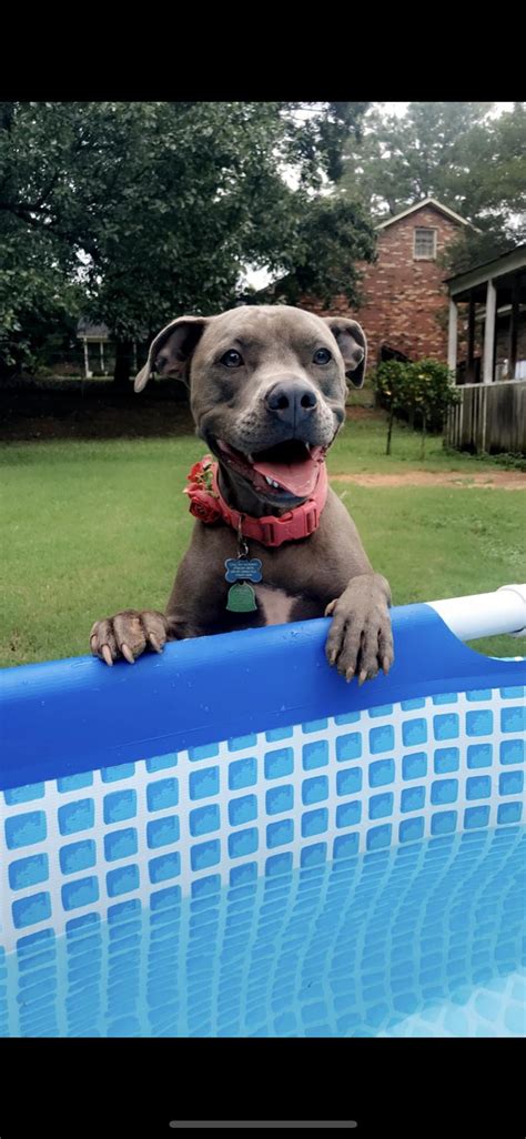 Queen Of The Rhoynar Album On Imgur