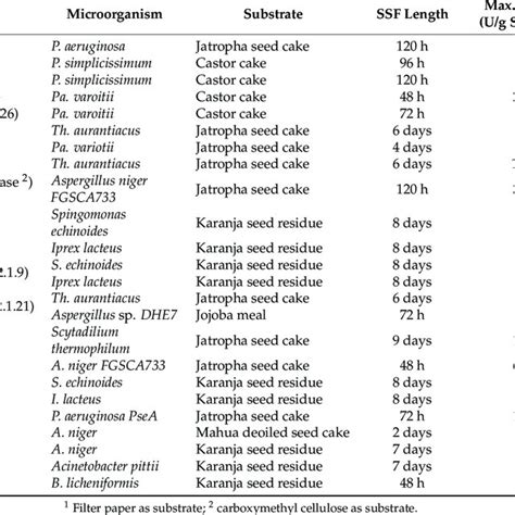Overview Of Enzymes Produced By Solid State Fermentation Ssf On