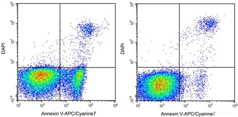 Annexin V Apcdapi Apoptosis Kit Akes057 Assay Genie