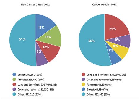 Comprehensive Cancer Encouraged By Lung Cancer Survival Rate Increasing By 21 Comprehensive