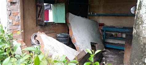 Elephant Attacks Continue In Dooars Shops And House Damaged In