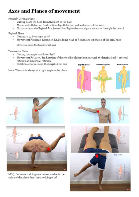 Sagittal Plane Movements Sagittal Plane Vcupc