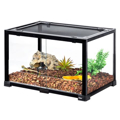 Glass Lizard Enclosure At Velma Wright Blog