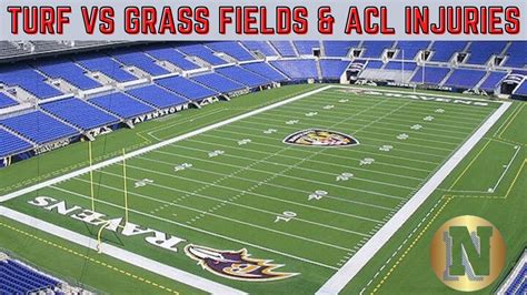 Field Turf Vs Grass At Leon Donovan Blog