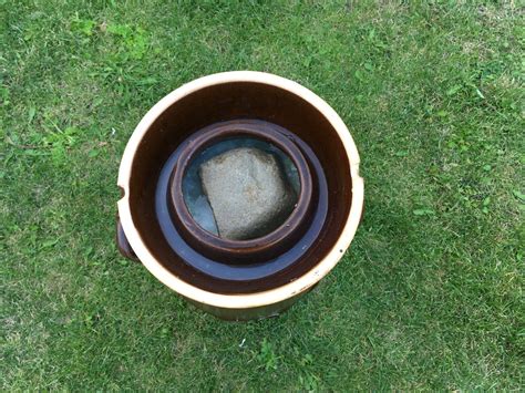 Simple Cabbage Pickling Recipe