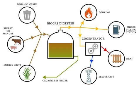 Energía De Biomasa ¿qué Es Cómo Funciona Métodos The Free Nature