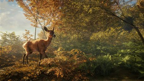 Forest Sentinel — Thehunter Call Of The Wild Hd Deer Wallpaper 1920x1080 Wallpaper Abyss