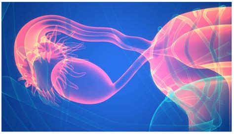 Ovarian Cyst Removal Surgery In Hyderabad What To Expect