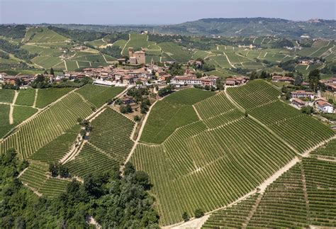 Mga Broglio Our Vineyards Azienda Agricola Schiavenza