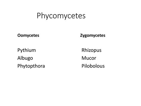 Fungi Fungi Is Hetrotropus Saprophytes Parasitedecomposerachlorophyllousunicelllular