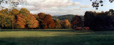 Timothy Barr
