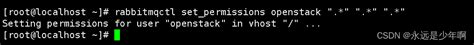Openstack详解（四）——openstack Rabbitmq安装与启动systemctl Start Rabbitmq Server带linux账号密码启动 Csdn博客