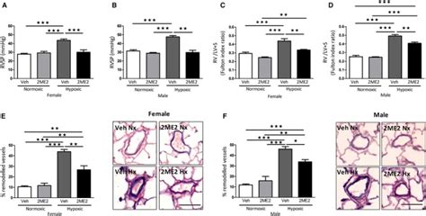Influence Of 2‐methoxyestradiol And Sex On Hypoxia‐induced Pulmonary Hypertension And Hypoxia