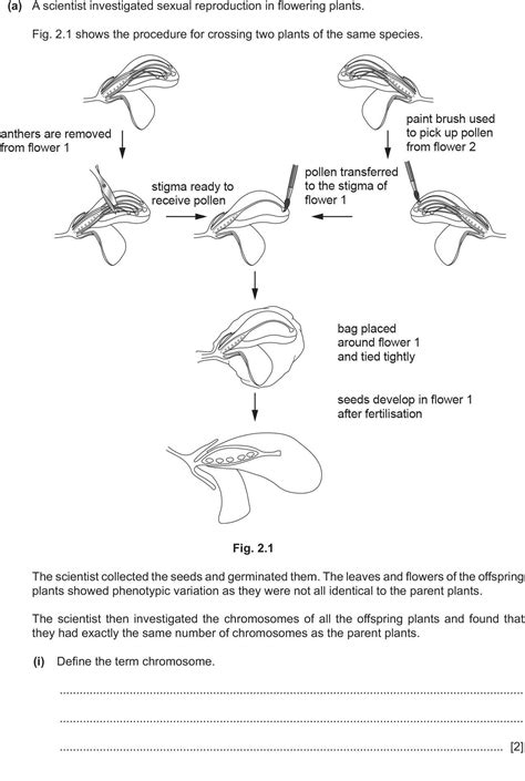 Cie Igcse Biology 22 Cell Division