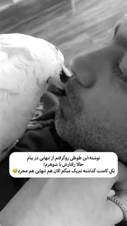 طوطی گرفته از تنهای دربیاد حالا رفتار طوطی ️shorts Viralshorts ترند حیوانات Youtube