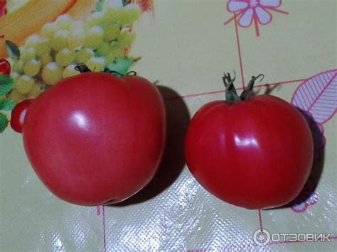 Отзыв о Семена Сибирский Сад "Томат Батяня" | Хороший крупноплодный сорт.