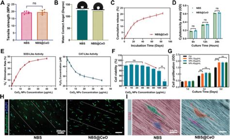 Energy‐supporting Enzyme‐mimic Nanoscaffold Facilitates Tendon