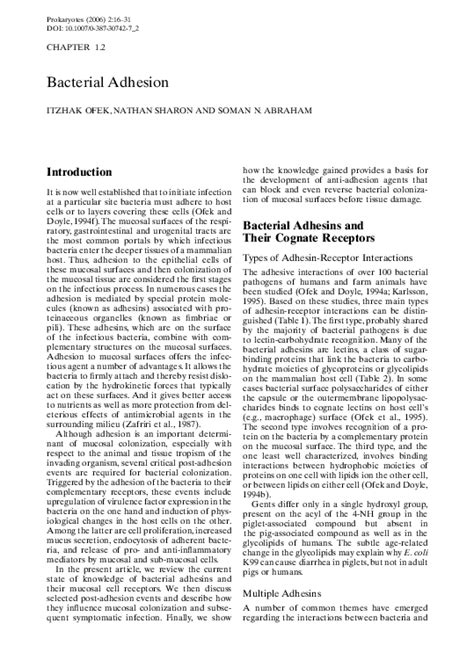 Pdf Bacterial Adhesion