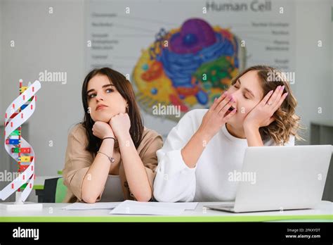 People Yawning In Class