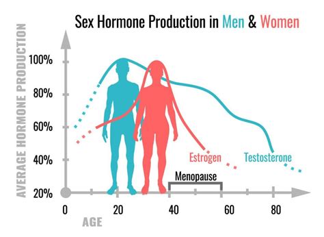 Anatomical Variations Between Male And Female Bodies And Their Impact