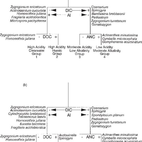 Species List Of Periphytic Algae By Substrata Type Of Environment Ls
