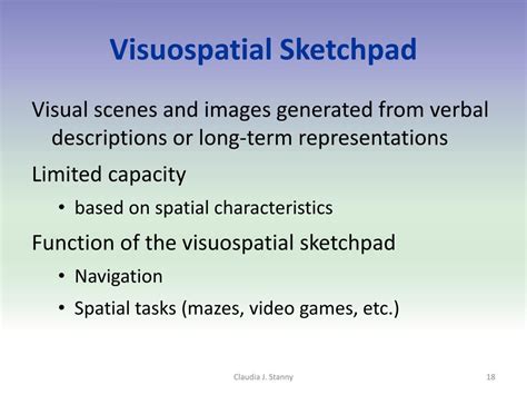 PPT - Working Memory PowerPoint Presentation, free download - ID:4628079