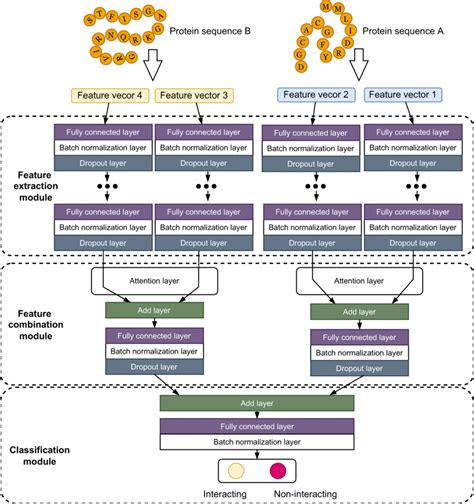 The General Framework Of The Deepcf Ppi Architecture Download