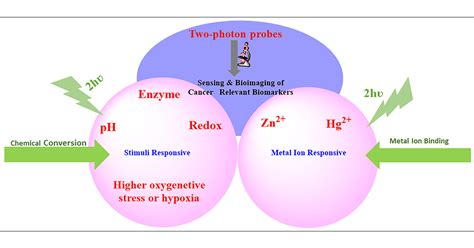 Small Two Photon Organic Fluorogenic Probes Sensing And Bioimaging Of Cancer Relevant