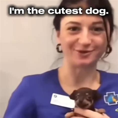 Dog Named Roblox Meme