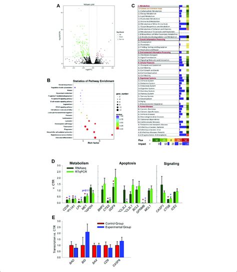 transcriptomic analysis of ovary tissues in rabbit where coprophagy
