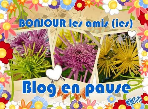 Blog En Pause Les Pensées De Mémé Yoyo