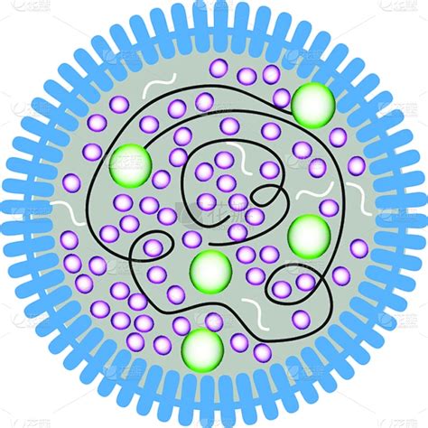 支原体自然微生物学风险显微镜人古老的药叛逆素材 花瓣网