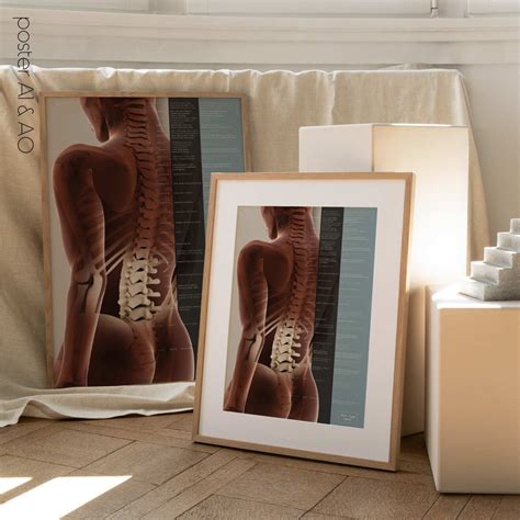 Spinal Subluxation Effects Educaredesign