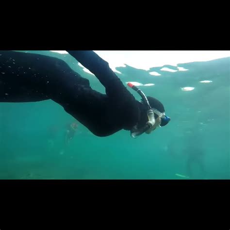 Pahawang Trip 2019 Alina Baraz Ft Galimatias Fantasy Youtube
