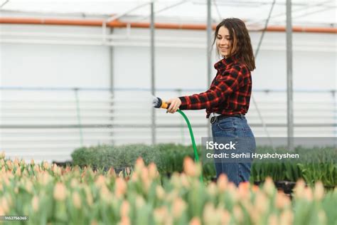 아름다운 젊은 미소 소녀 온실에서 꽃과 노동자 온실 꽃에서 개념 작업 18 19세에 대한 스톡 사진 및 기타 이미지 18 19세 꽃 식물 꽃집 주인 Istock