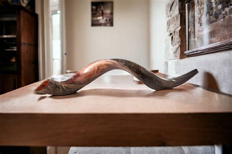 Kosher Yemenite Kudu Shofar Horn Half Natural Half Polish Judaica