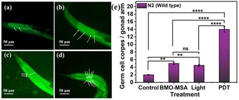 Nanocomposite Developed For Ni Image Eurekalert Science News Releases