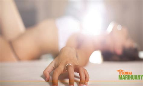 Cbd Thc A Sex Jak Působí Na Sexuální Hrátky Cannapio