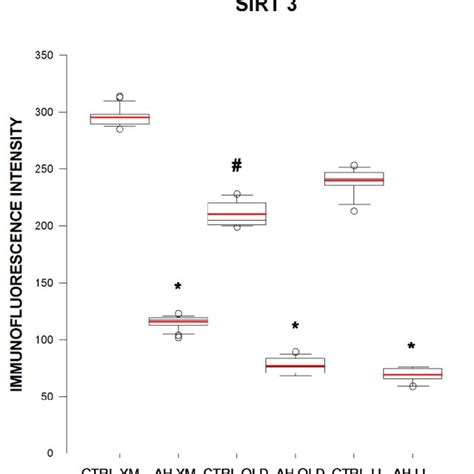 Immunofluorescence Intensity Of Sirt1 In Buccal Epithelium 200×