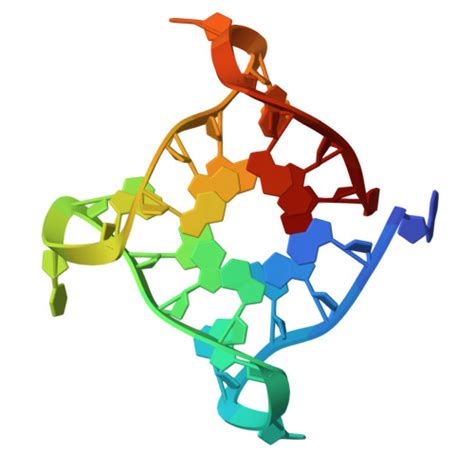 Rcsb Pdb 7pnl Complex Between Monomolecular Human Telomeric G Quadruplex And A Sulfonamide
