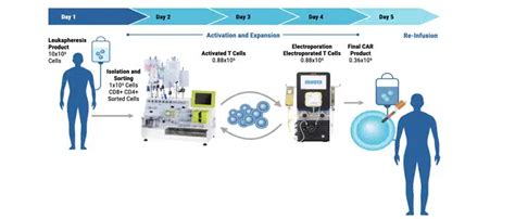 Large Scale Ruo Processing Assemblies Maxcyte Large Scale Ruo Processing Assemblies Maxcyte