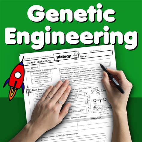 Examples Of Genetic Engineering Worksheet