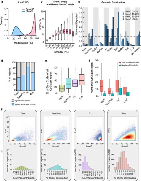 Dna Methylation And Hydroxymethylation Profiling By Whole Genome
