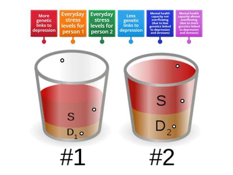 Diathesis Stress Model Diagram Label Labelled Diagram